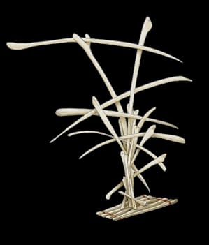 Na'vi Clan(Unofficial) - Quiz | Quotev