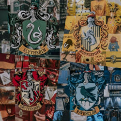 What Hogwarts house you belong in? - Quiz | Quotev