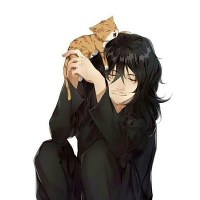 Select the cats you want to play with and unlock an Aizawa Shouta ...