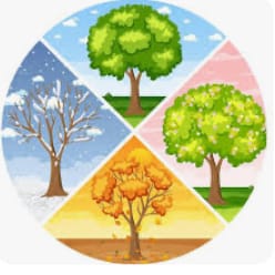 Which element are you allied to? (Skandar) - Quiz | Quotev