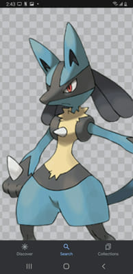 Lucario and Fox Boy - Quiz | Quotev
