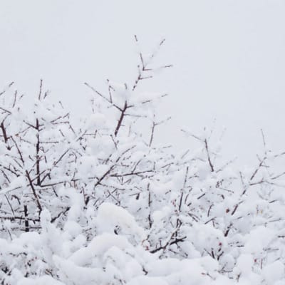 Which Of These Scary Creatures Are You? - Quiz | Quotev