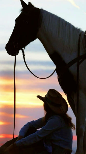 Lacuna. BRING BACK OLD Q | Quotev