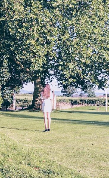 Eli The Cat | Quotev