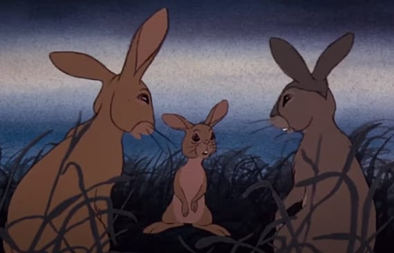 Which Watership Down character are you? - Quiz | Quotev