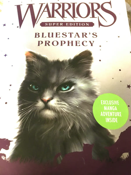 How well do you know Bluestar? (From super edition) - Test | Quotev