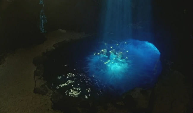 H2O Just Add Water test - Test | Quotev