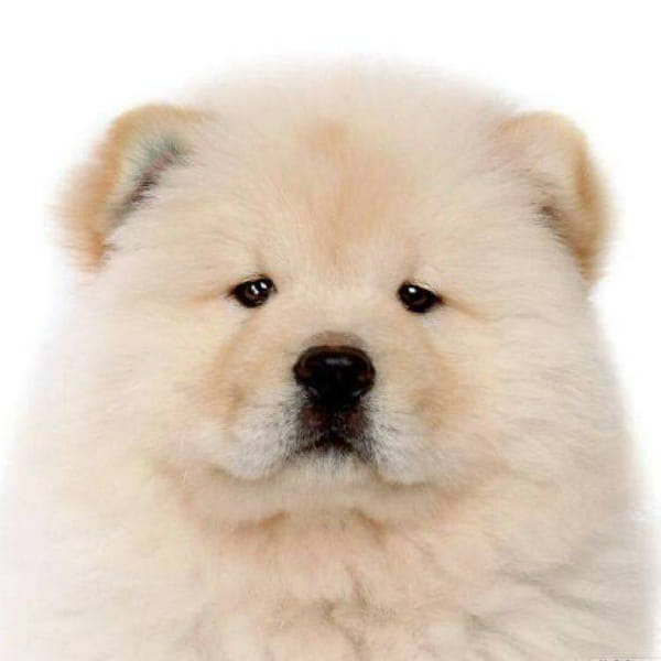 Published | zixingche95 | Quotev