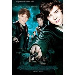 Your adventure with one direction in hogwarts! - Quiz | Quotev