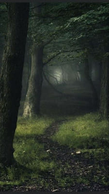 What Genshin impact pyro character are you? - Quiz | Quotev