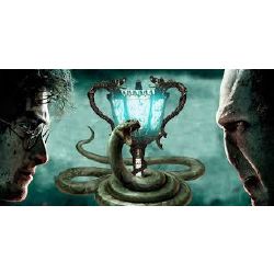 Could you win the Triwizard tournament? - Quiz | Quotev