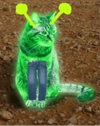 Yet other random questions! - Survey | Quotev