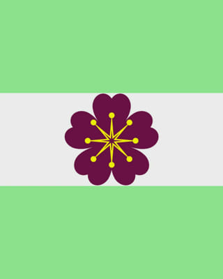 How many pride flags do you know? - Test | Quotev