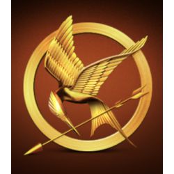 Would you survive the hunger games? - Quiz | Quotev