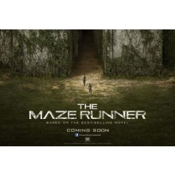 Maze runner life! - Quiz | Quotev