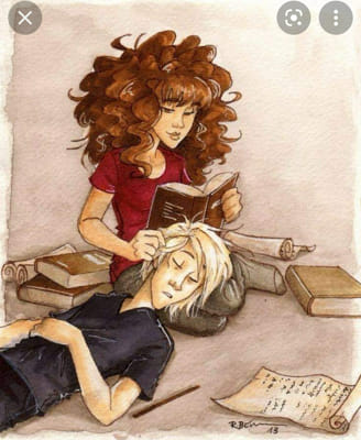 Ship it or rip it Harry Potter version - Quiz