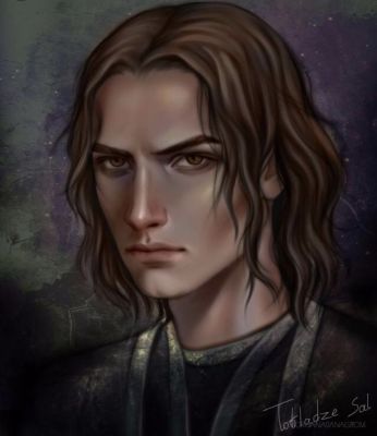 Acotar series trivia - Test | Quotev