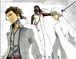 Which BLEACH Espada/Privaron Espada/Leader is the most popular ...