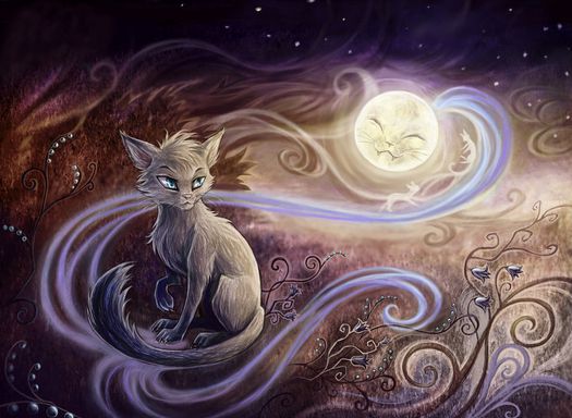 Tintin the Cat | Quotev