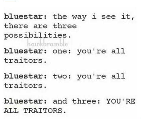 Warrior Cat Memes Part 2! - Quiz | Quotev