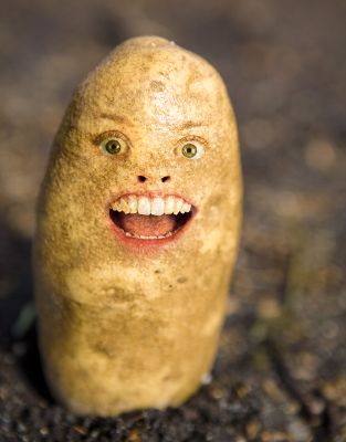 What do you know about potato people? - Test | Quotev