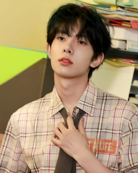 Are you Heeseung's ideal type? - Test | Quotev