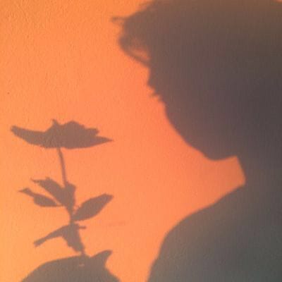 Choose some random aesthetics and I'll reveal how many people have a ...