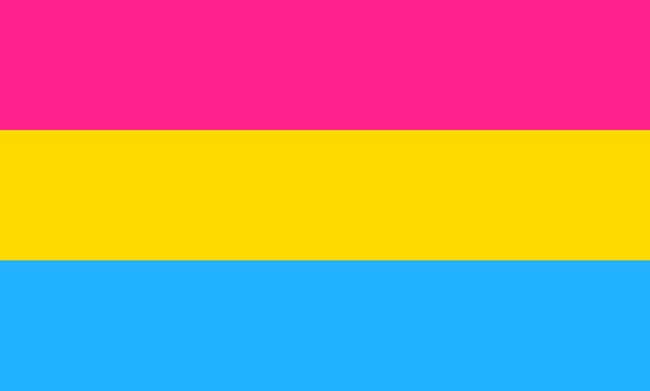 Guess The Pride Flag - Test | Quotev