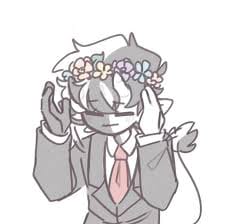 Which DSMP member are you? - Quiz | Quotev