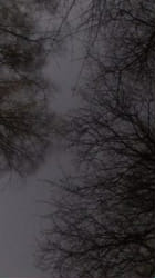 Are you a morning person, a night person or a day person? - Quiz | Quotev