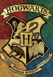 What Hogwarts house do you belong in? - Quiz | Quotev