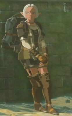 Guess the Botw NPC's - Test | Quotev