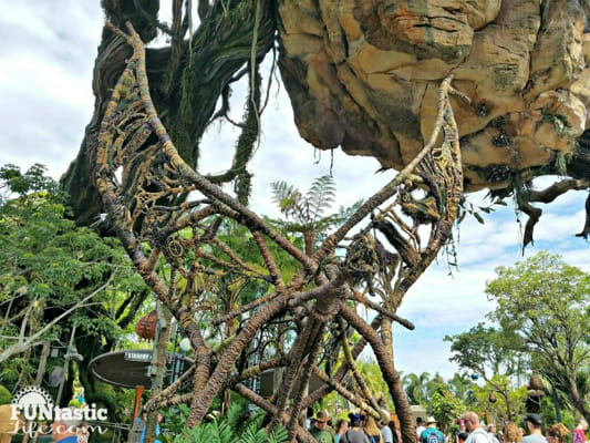 Na'vi Clan(Unofficial) - Quiz | Quotev