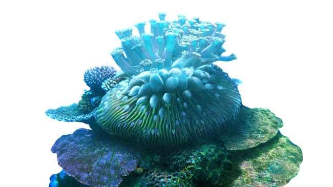 Your life on Pandora - Quiz | Quotev