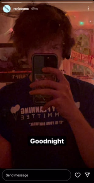 Pick random things and get a dsmp family - Quiz | Quotev