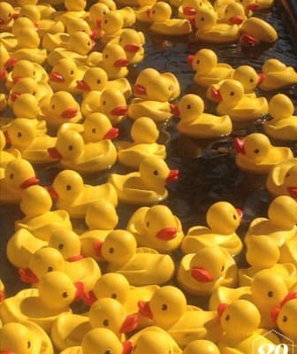 pick stuff for a stoner - Quiz | Quotev