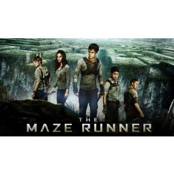 What Job Would You Have In The Maze Runner? - Quiz | Quotev