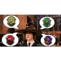 The Confused Sorting Hat - Quiz | Quotev