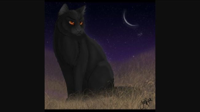 How well do you know the Dark Forest? - Test | Quotev