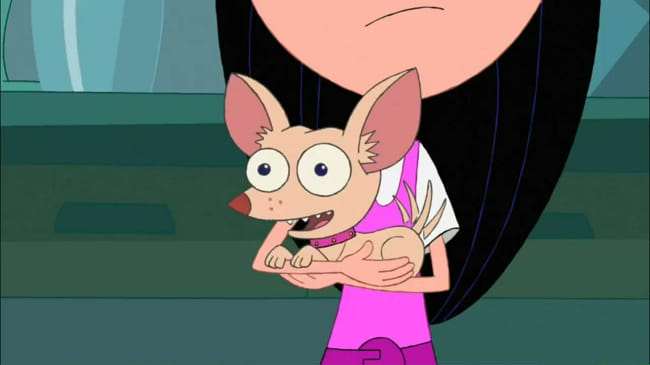 Just a Phineas and Ferb Quiz! - Test | Quotev