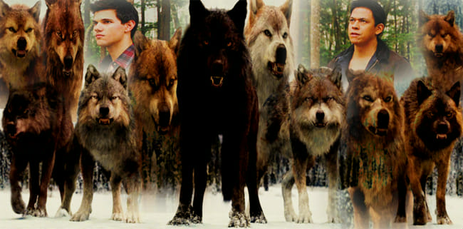 Werewolf Quiz Series (Ep. 1) - Quiz | Quotev