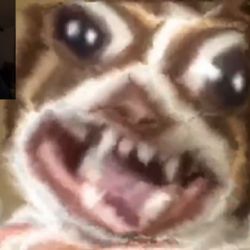 Which Simone OC are you - Quiz | Quotev