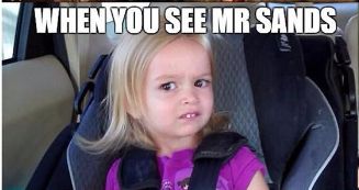 Star Stable Memes - Quiz | Quotev