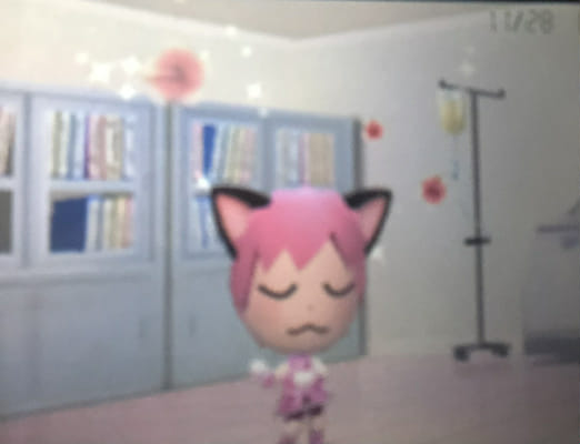 Do you know all about UwU cats? - Test | Quotev