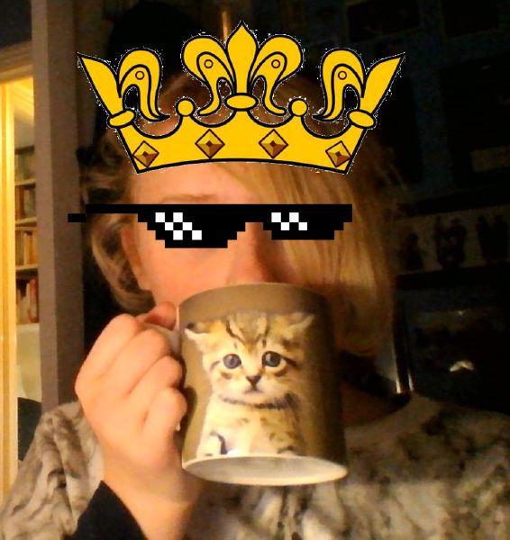 The Supreme Cat Lord | Quotev