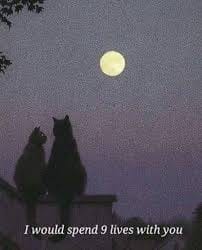 What letter does your Soulmate's name start with? - Quiz | Quotev