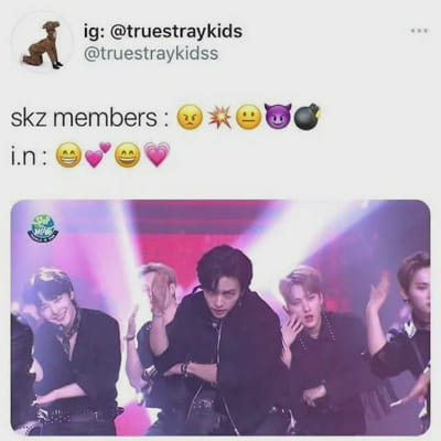 Answer these questions and get a random Stray Kids meme! - Quiz | Quotev