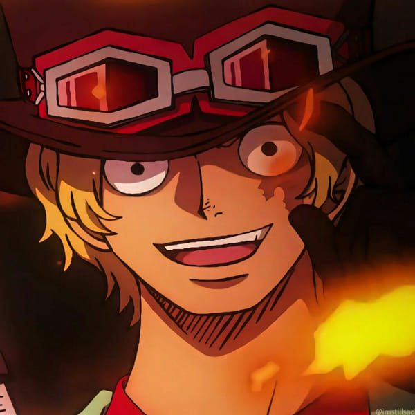 Pick the top 3 most attractive One Piece character by groups - Survey ...