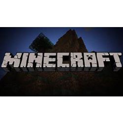 How Much Do You Know Minecraft? - Test | Quotev