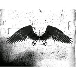 Your Hidden Wings - Quiz | Quotev